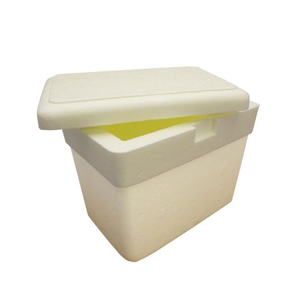 Caixa Térmica Isopor 5 Litros - coopsp Caixa Térmica Isopor 5 Litros - coopsp